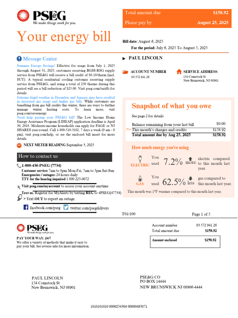 PSE&G Energy Bill Sample 2025 | PDF | Sustainable Energy | Sustainable ...