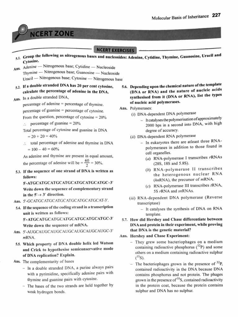 Molecular Basis of Inheritance | PDF