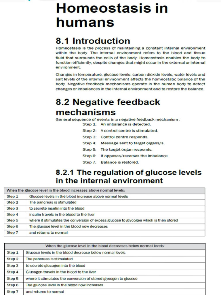 Homeostasis Notes Grade 12 | PDF | Homeostasis | Kidney