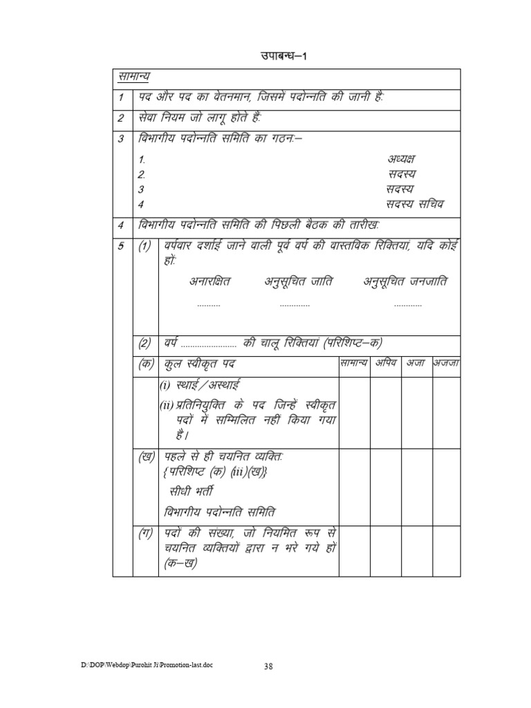 DPC Format Guidelines and Examples | PDF
