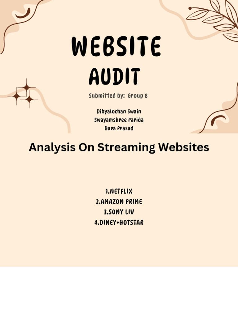 Streaming Website Audit Analysis | PDF