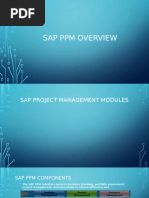SAP PPM Project Management Guide | PDF | Project Management | Computing