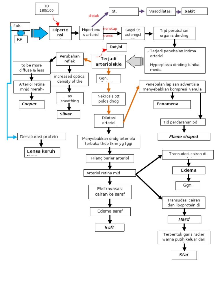 Patofisiologi Retinopati Hipertensi | PDF