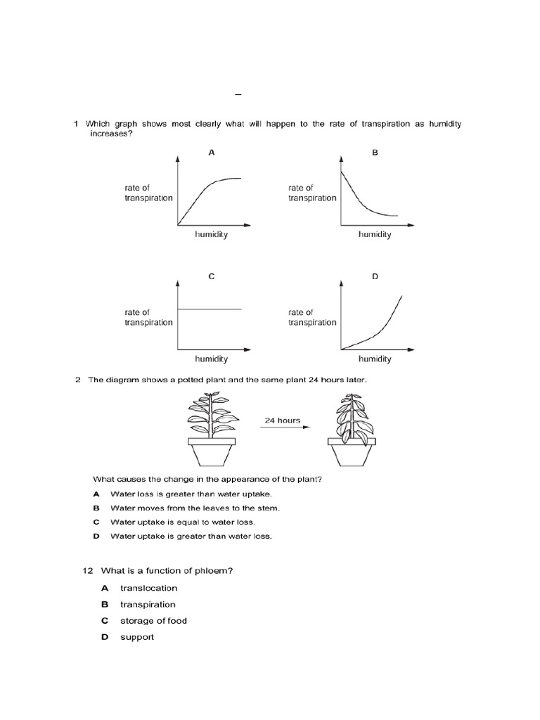 Biology Worksheet-Transport in Plants | PDF