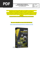 FORMATO IRL (Ex ODI) | PDF