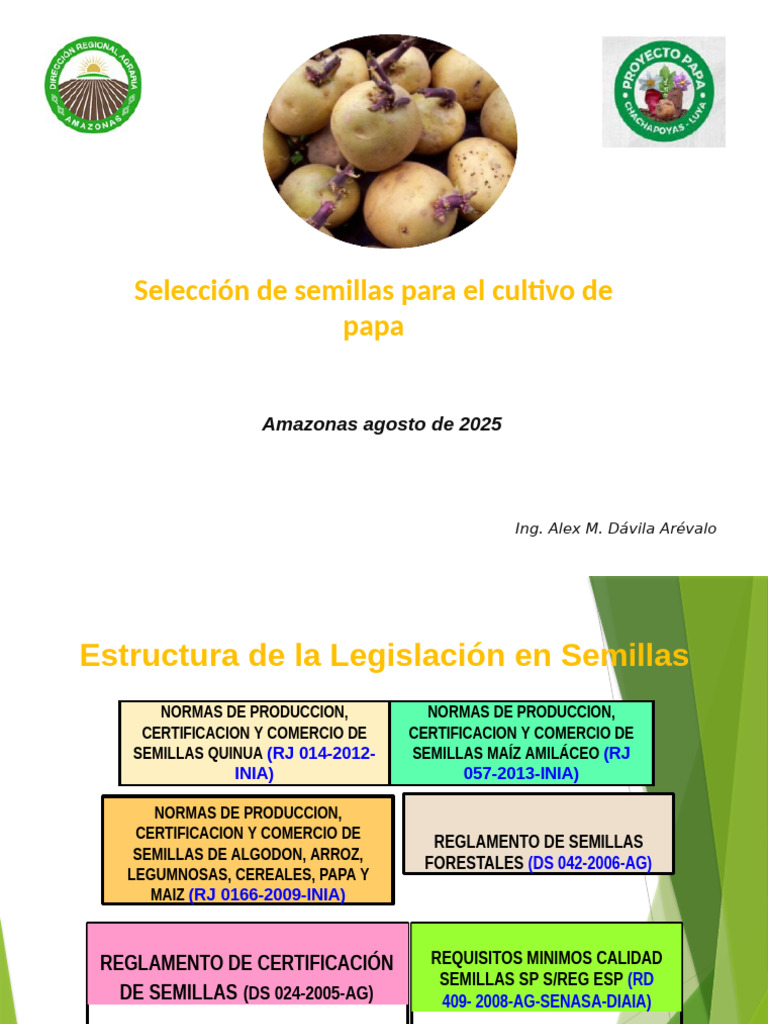 Semilla - Papa 1 | PDF | Patata | Cultivar