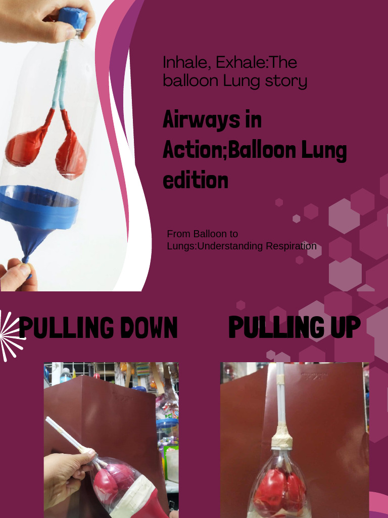 Understanding Breathing with Balloon Lung | PDF