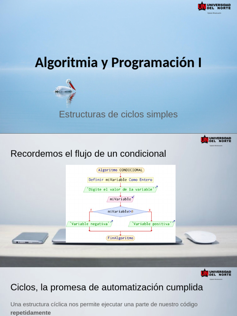 3 - Estructuras Ciclos Simples | PDF