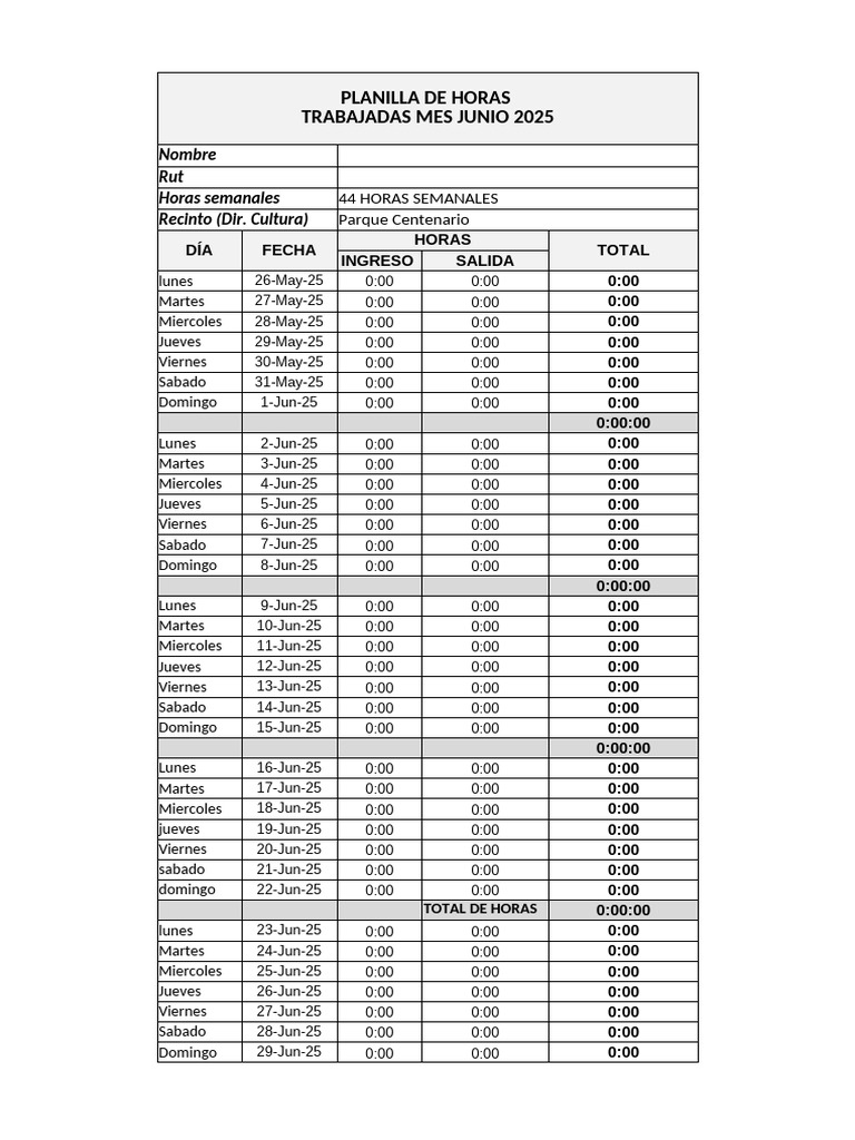 Planilla Excel JUNIO 2025 | PDF