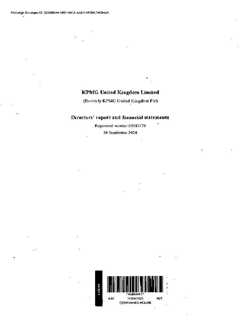 KPMG Annual Statements - Compressed | PDF