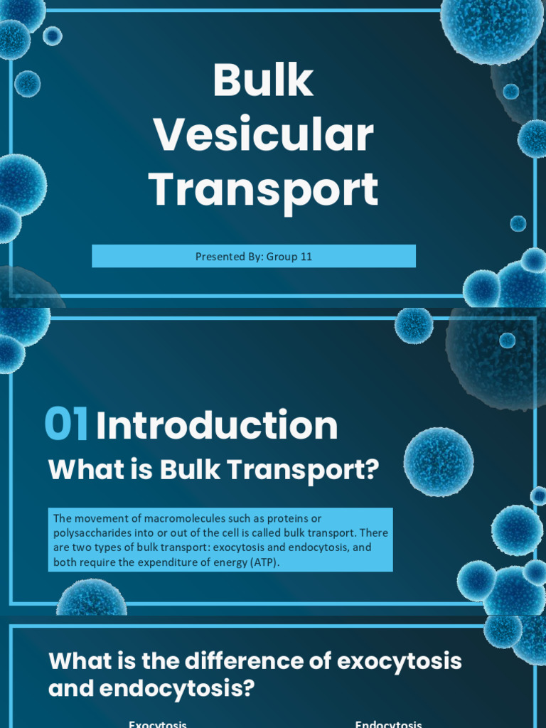 Overview of Bulk Vesicular Transport | PDF | Vesicle (Biology And ...