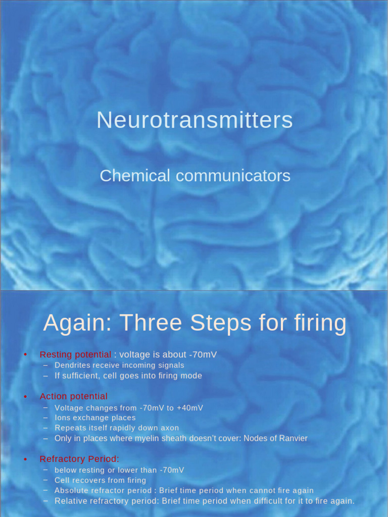 NEUROTRANSMITER (Autosaved) | PDF | Inhibitory Postsynaptic Potential ...