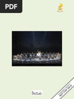 Ballet Dancer Ranks Explained | PDF | Dances | Ballet