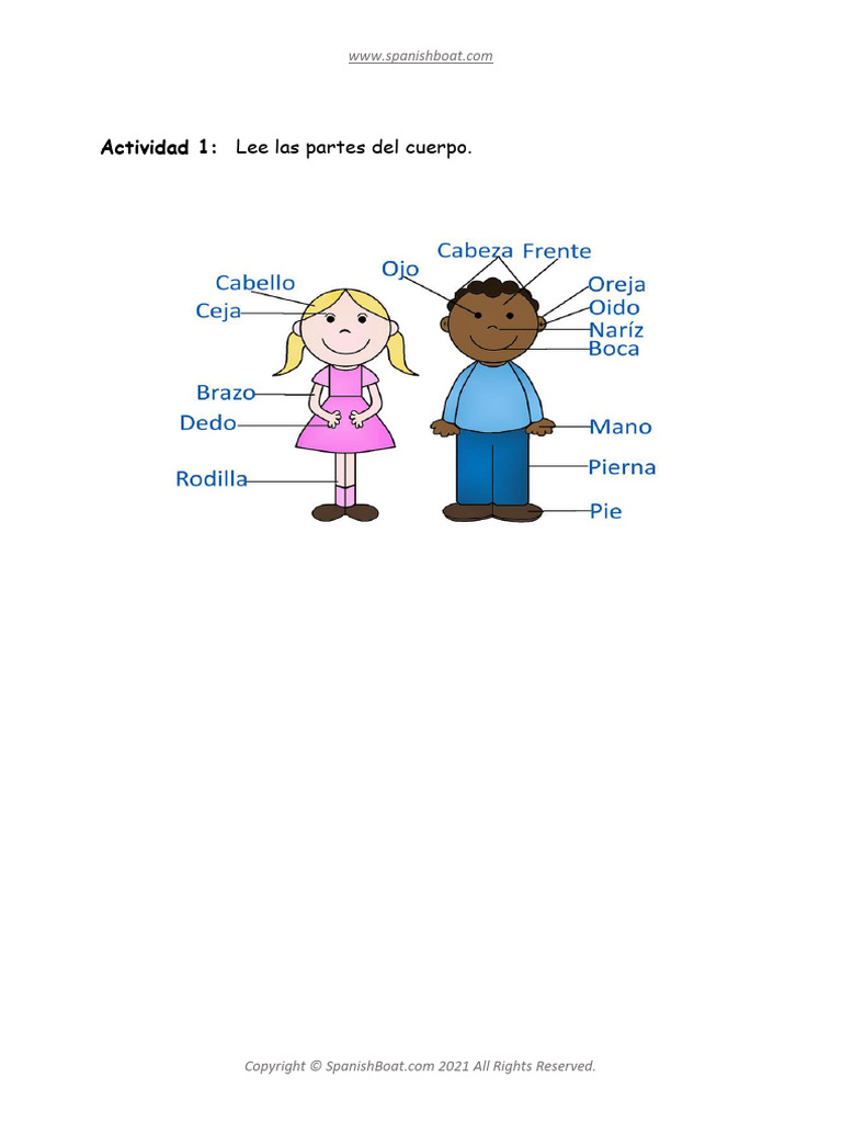 Body Parts Spanish 3 | PDF