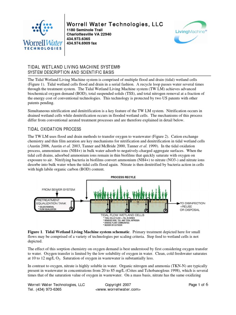 Tidal Wetland Living Machine Technology Description | PDF | Sewage ...