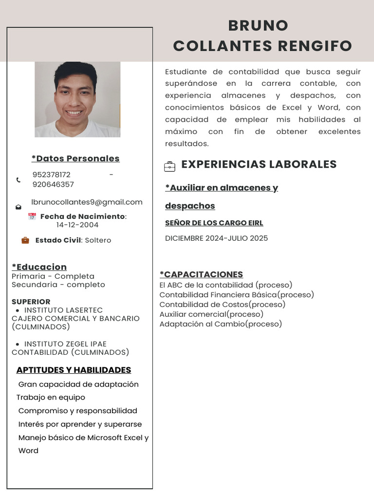 CV Bruno Collantes R - 011717 | PDF