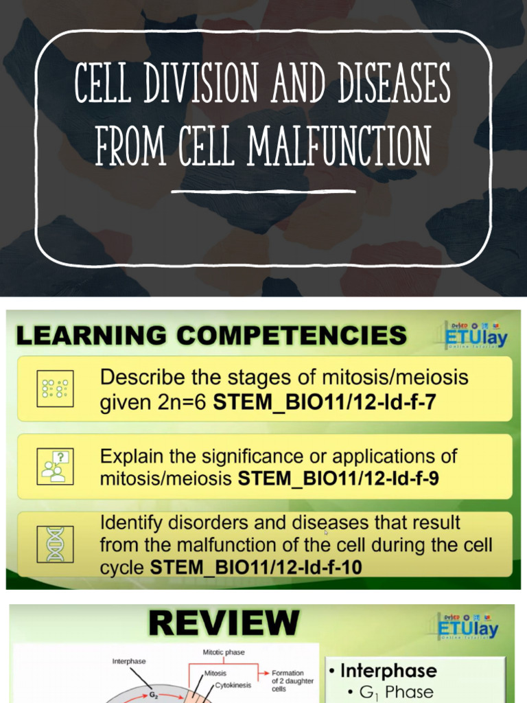 Cell Division and Diseases From Cell Malfunction 024803 | PDF | Meiosis ...