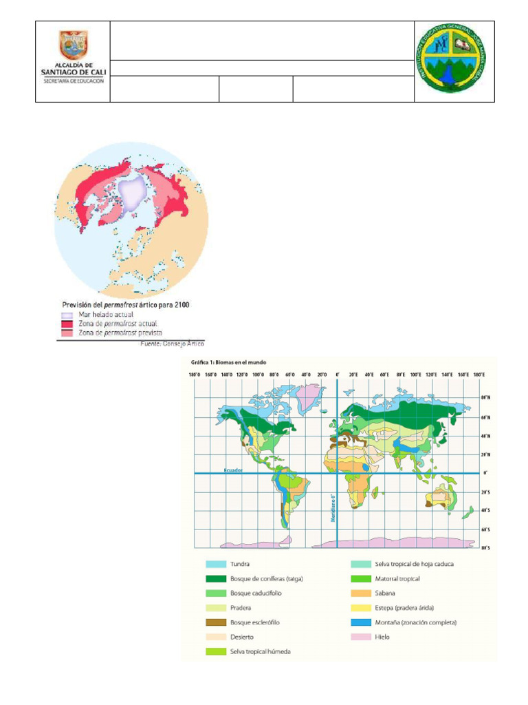 Taller 4. Biomas Del Mundo Sexto | PDF | Sabana | Selva
