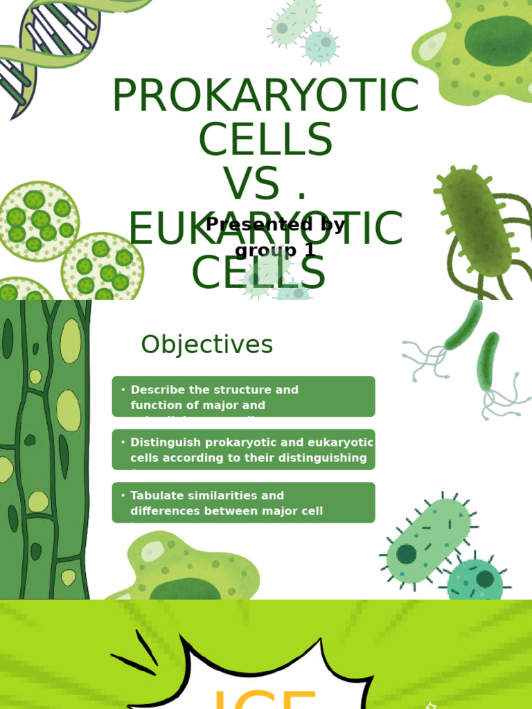 Prokaryotic vs Eukaryotic Cells Explained | PDF | Endoplasmic Reticulum ...