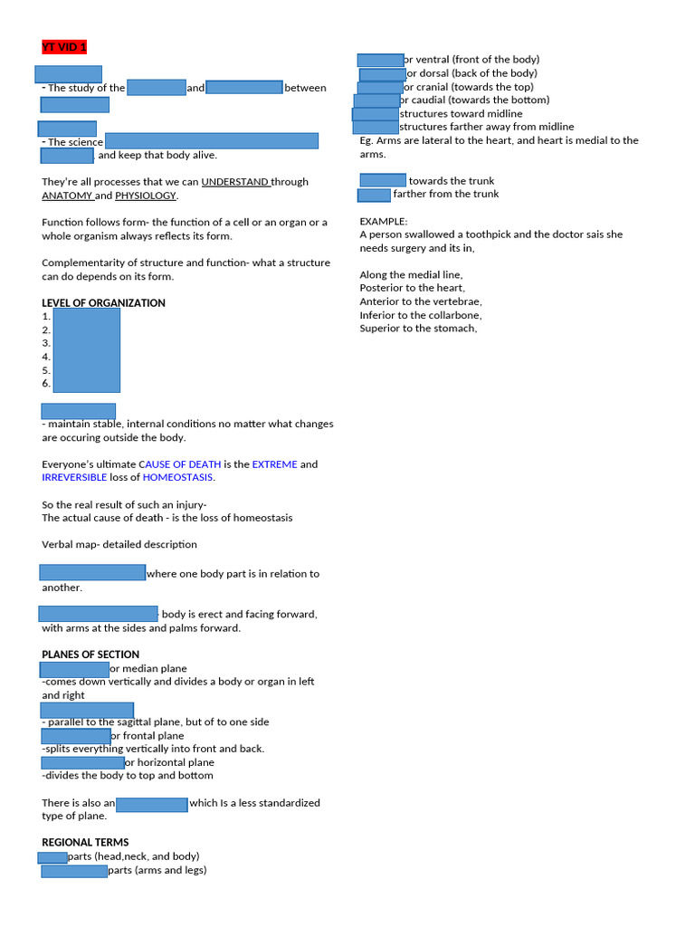 Introduction To ANATOMY | PDF | Peritoneum | Anatomical Terms Of Location