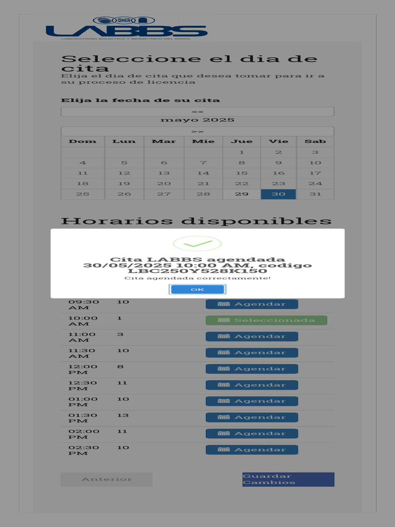 Registro de Citas Labbs - Lionbridge Capital, Software 3 | PDF