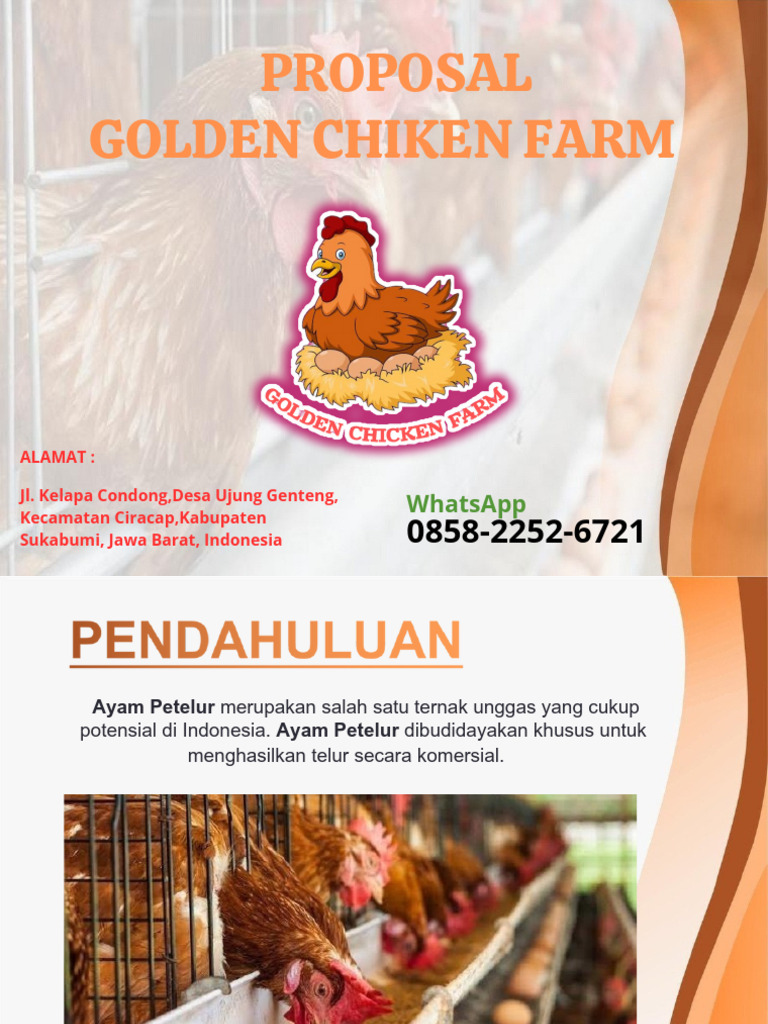 Proposal Golden Chicken Farm | PDF