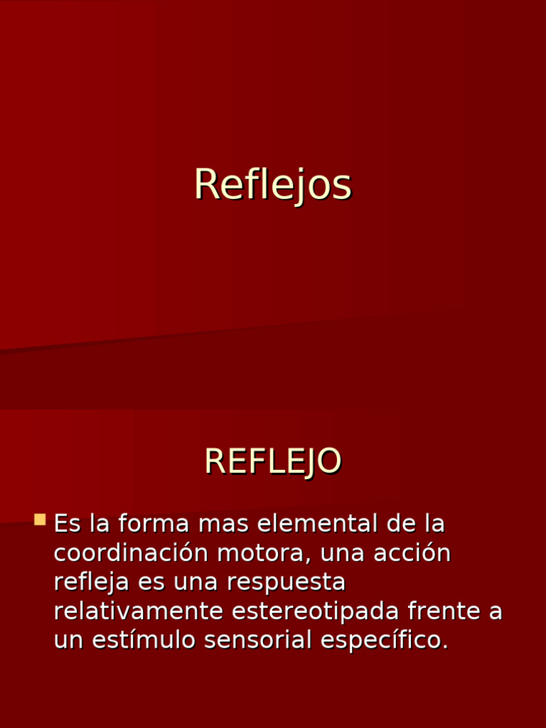 Reflejos | PDF | Reflejos
