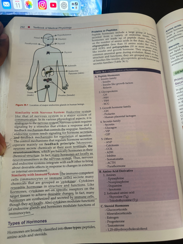 Endocrine | PDF