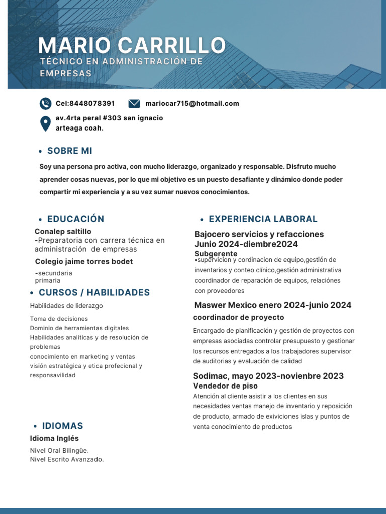 CV Mario carrillo | PDF | Negocios económicos | Business