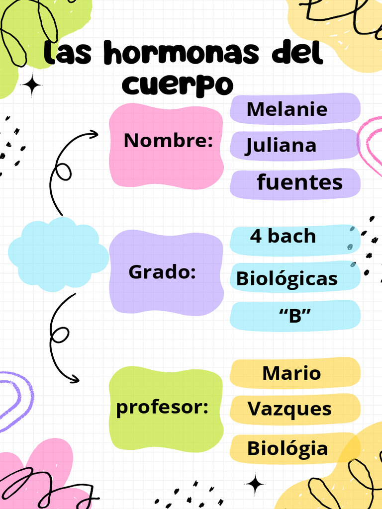 Documento A4 Mapa Conceptual Creativo Colorido | PDF | Glándula suprarrenal | Hormona