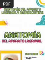 Clasificación de Fimosis Kayaba | PDF | Mamíferos machos | Pene
