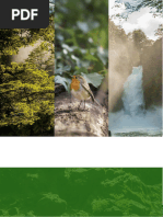 Espermatófitas | PDF | Plantas | Botânica