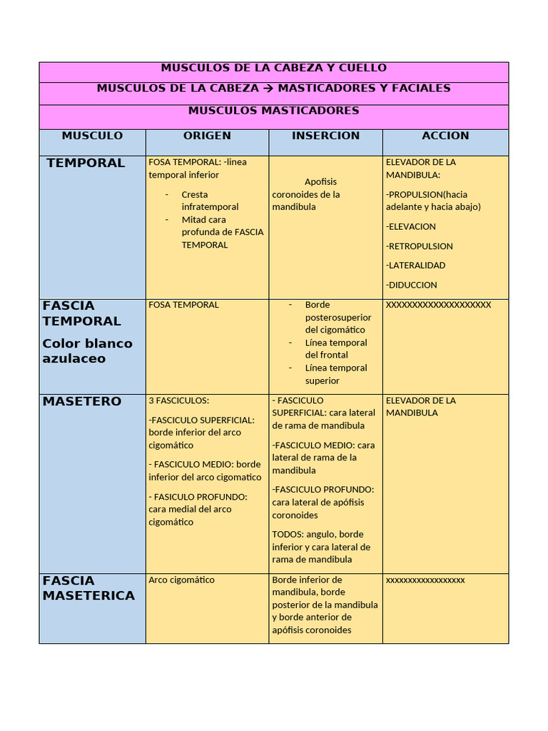 Musculos de La Cabeza y Cuello Cuadro | PDF | Nariz humana | Anatomía humana