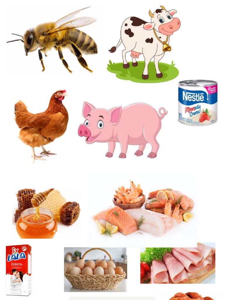 Alimentos de Origen Animal | PDF