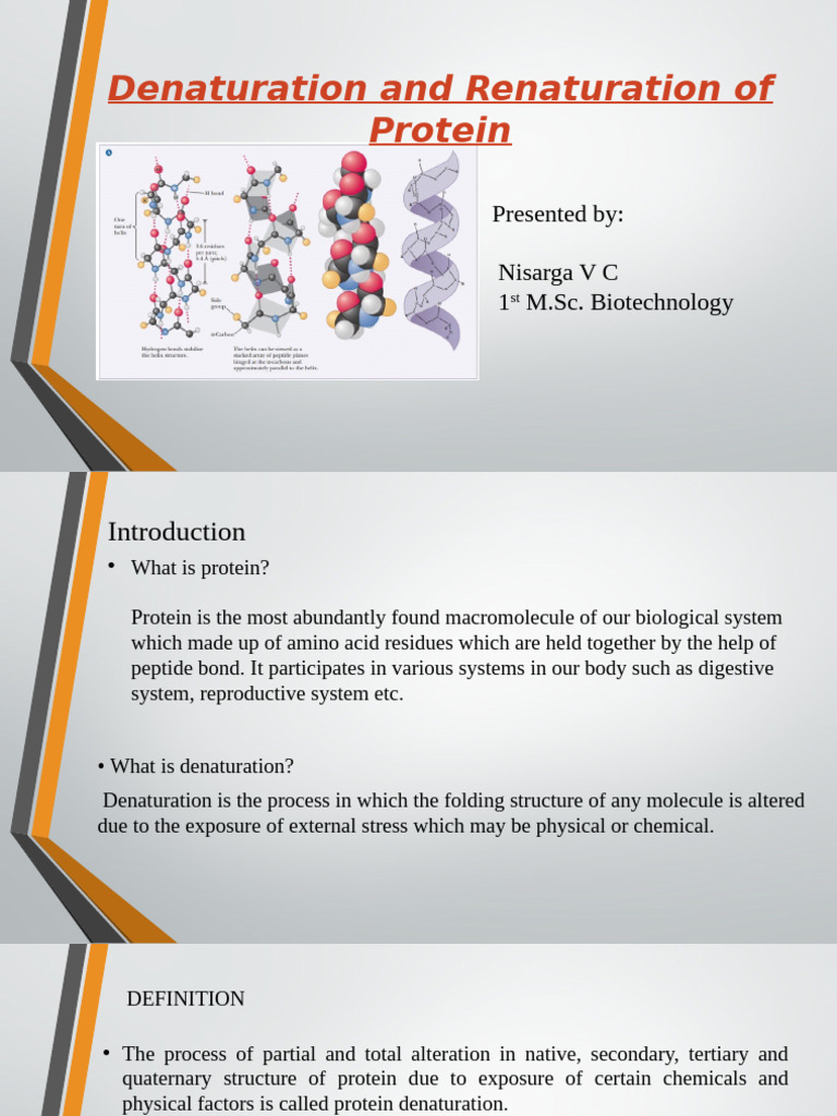 Denaturation and Renaturation of Proteins | PDF | Denaturation ...