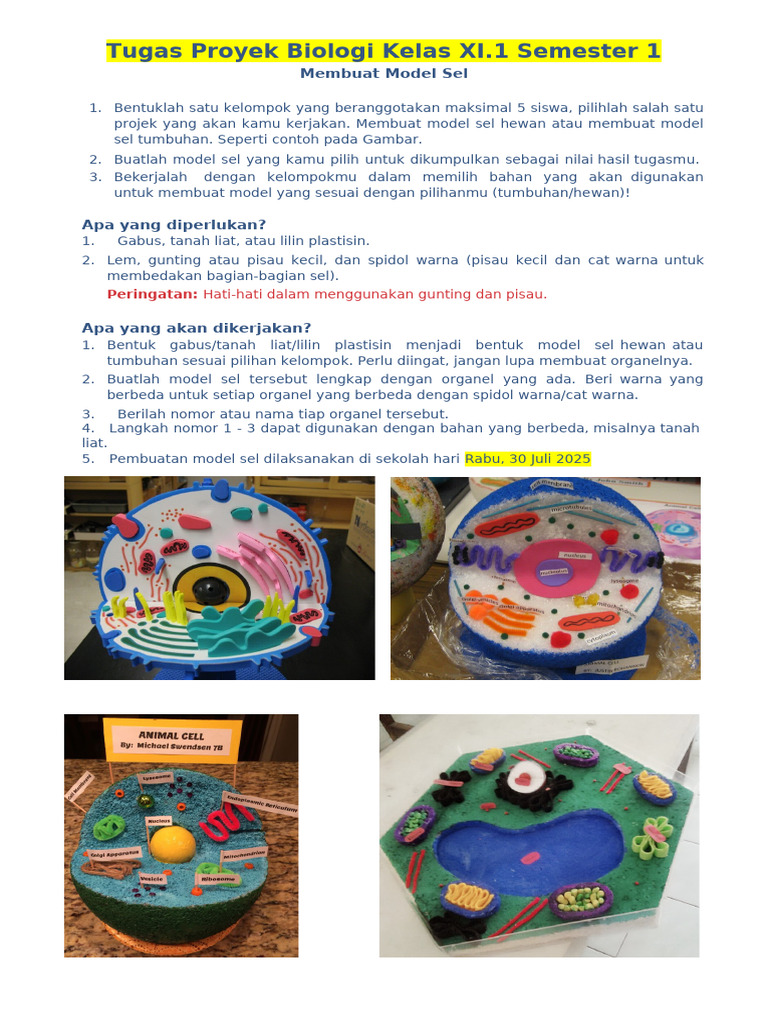 Tugas Proyek Biologi Model Sel Kelas XI.1 | PDF
