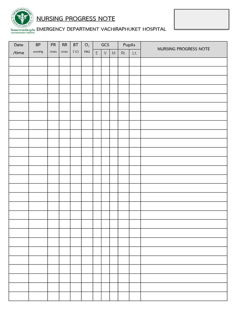 Nursing Progress Note Overview | PDF