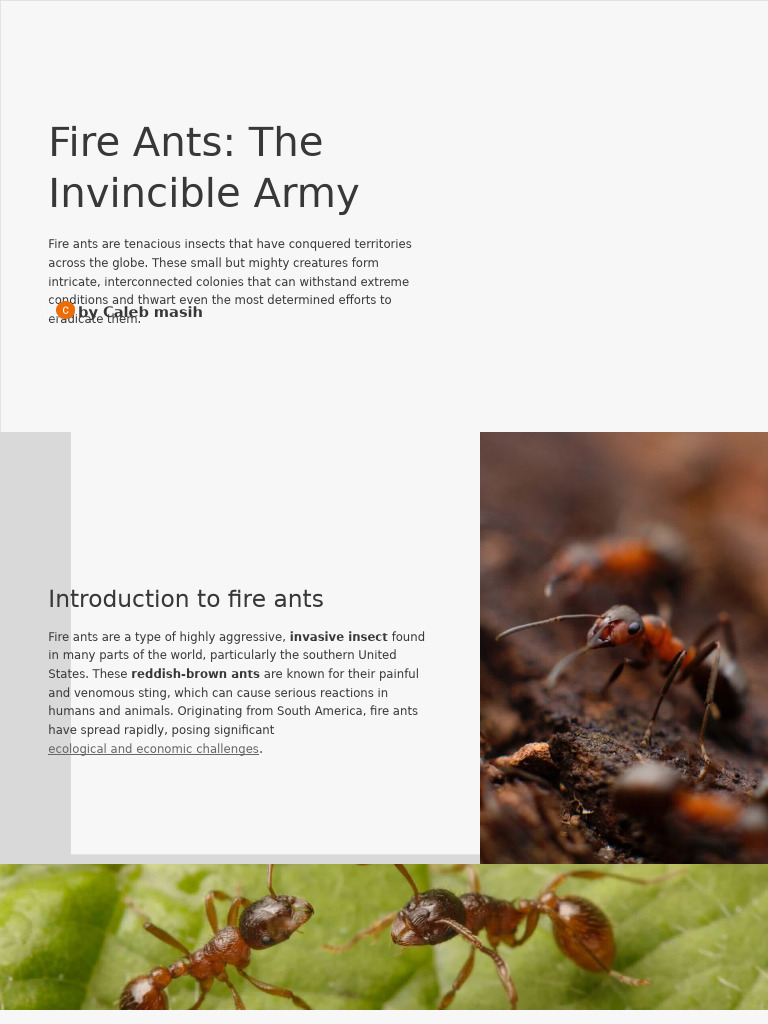 Fire Ants the Invincible Army by Me | PDF | Ant | Pest Control