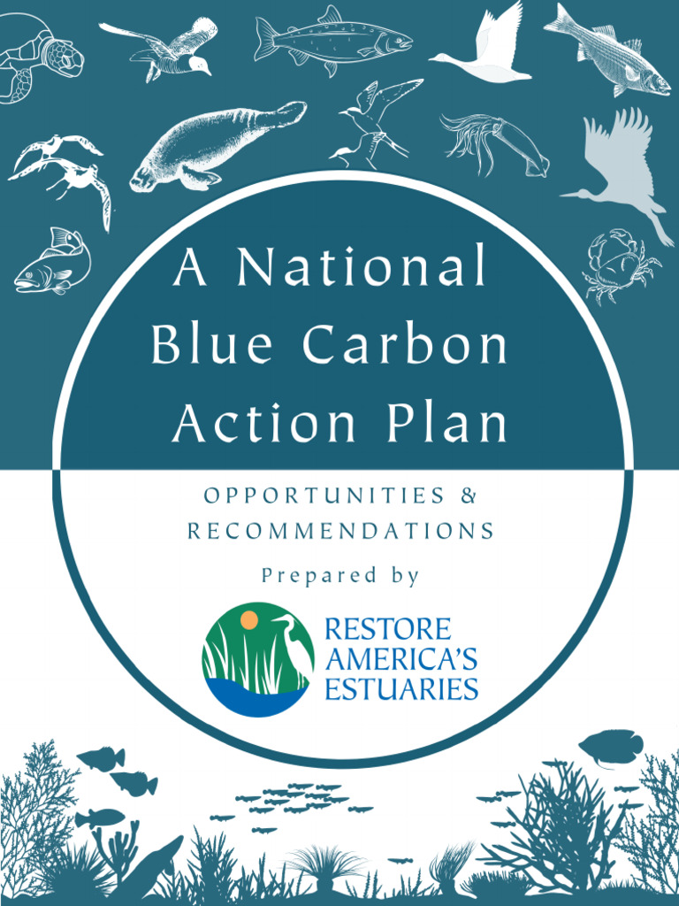 National Blue Carbon Action Plan | PDF | Wetland | Climate Change ...