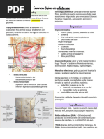 Maniobra de Mathieu en Exploración Abdominal | PDF | Abdomen | Bazo