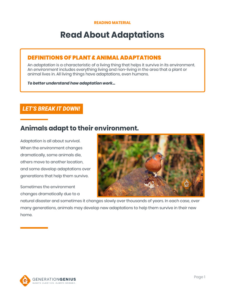 Animal Plant Adaptations Reading Material Grades 3 5 | PDF | Giraffe ...