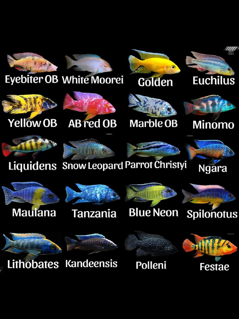 Poster2 - Ac260 - 21 File @ 1 Lembar | PDF