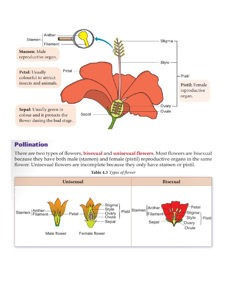F1 C 4.7 Reproduction in Plant | PDF