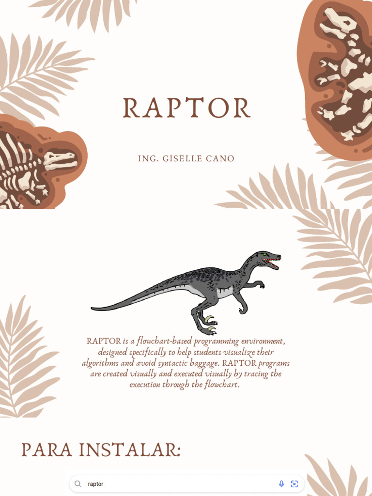 RAPTOR | PDF