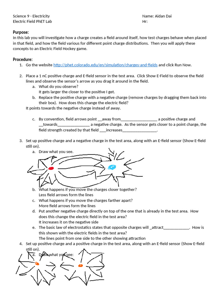 Electric Field PhET Lab | PDF | Electric Field | Electric Charge