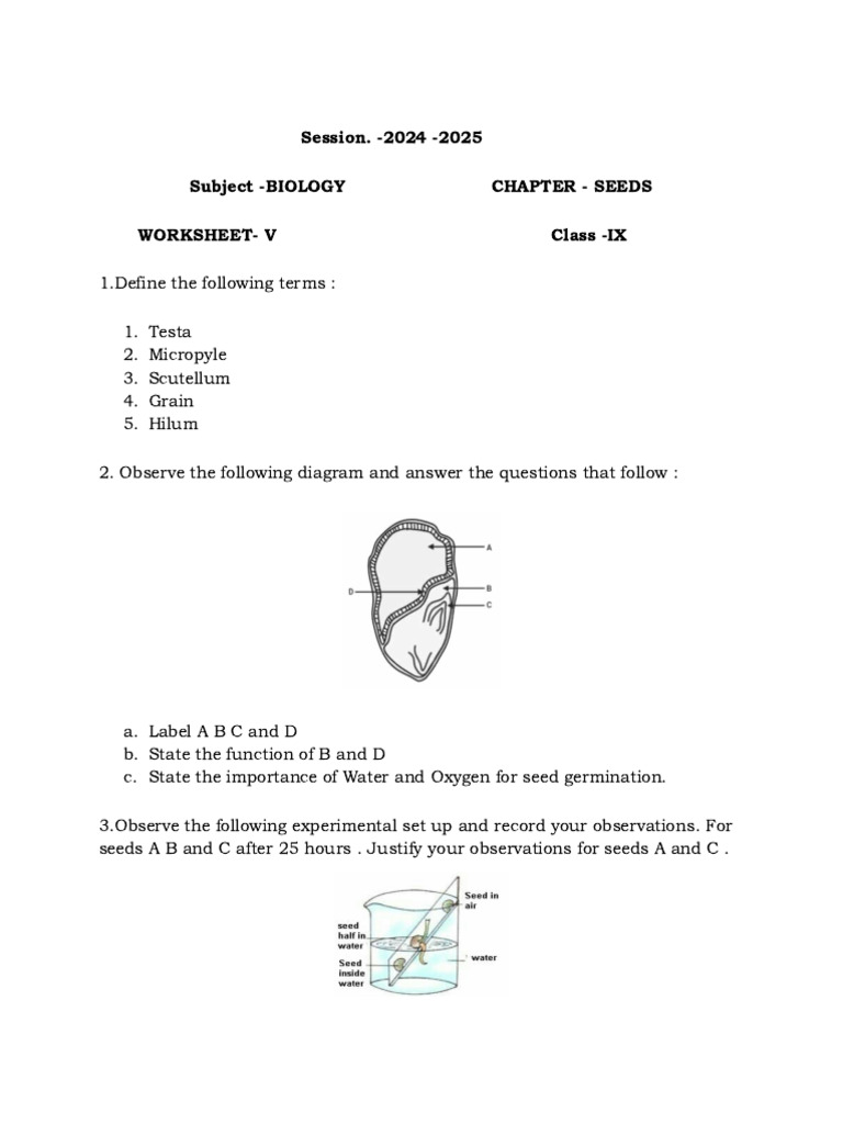 SEEDS Worksheet | PDF