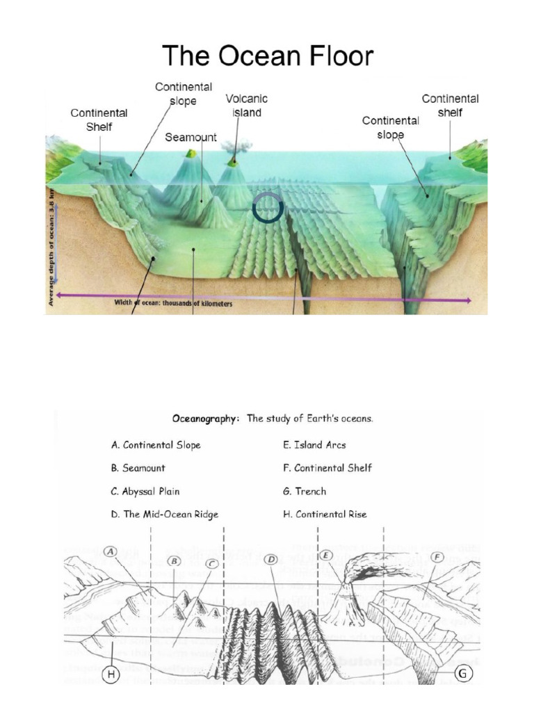 Ocean Floor Topography | PDF