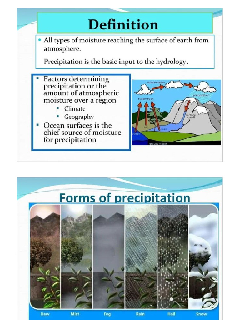 Precipitation Types Forms | PDF