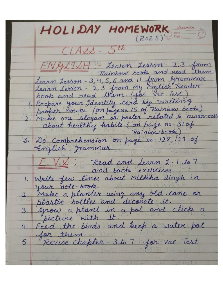 Holiday Homework Class 5th | PDF