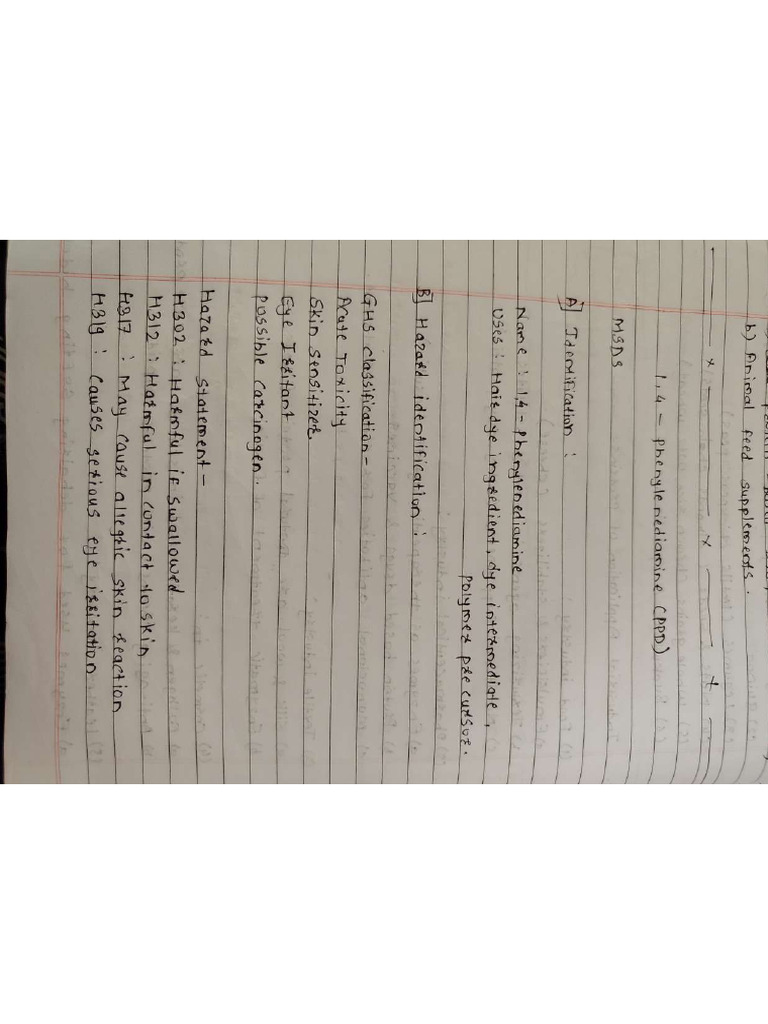 Assignment 4b 24sur110 Pdf